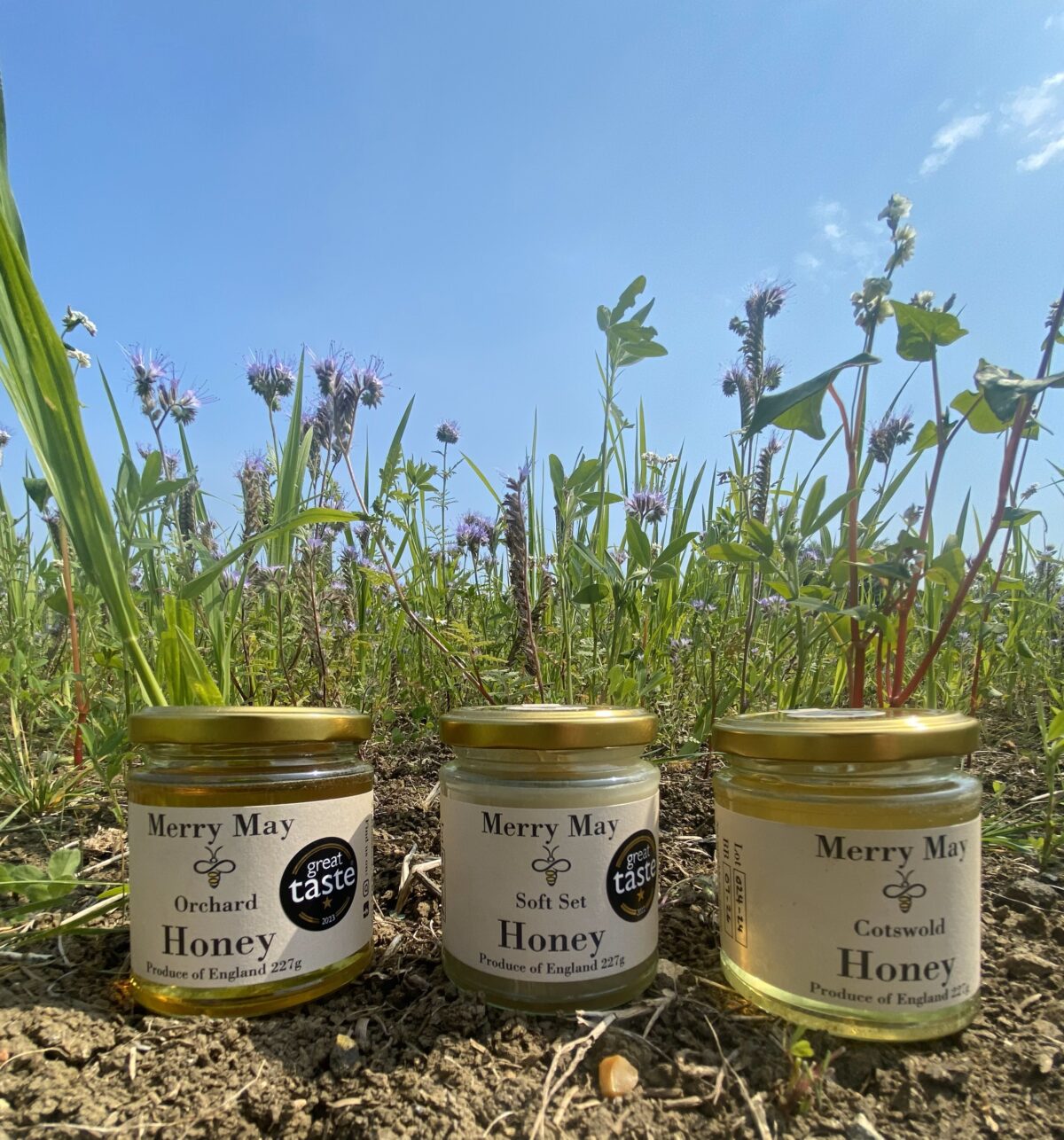 Merry May Honey - Taste the Sweetness of Nature